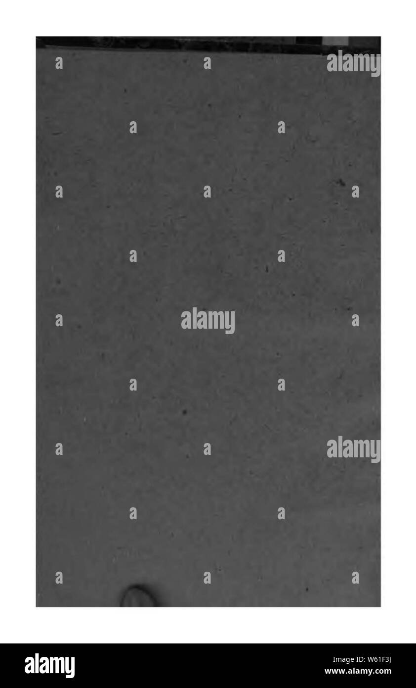 12 004 Cut Out Stock Images & Pictures - Alamy