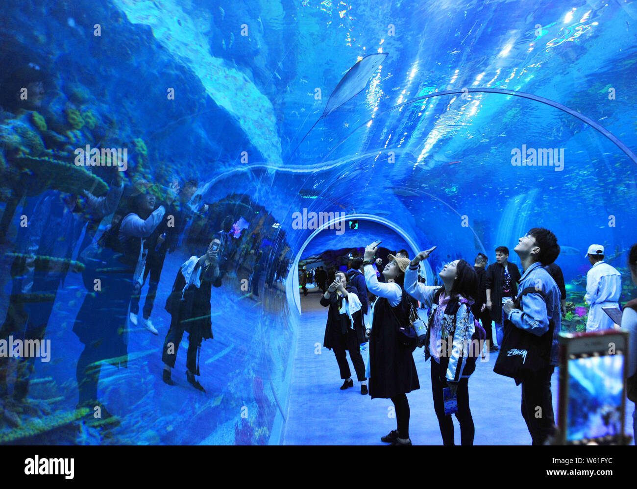 Tourists visit the Haichang Ocean Park during its trial operation in ...