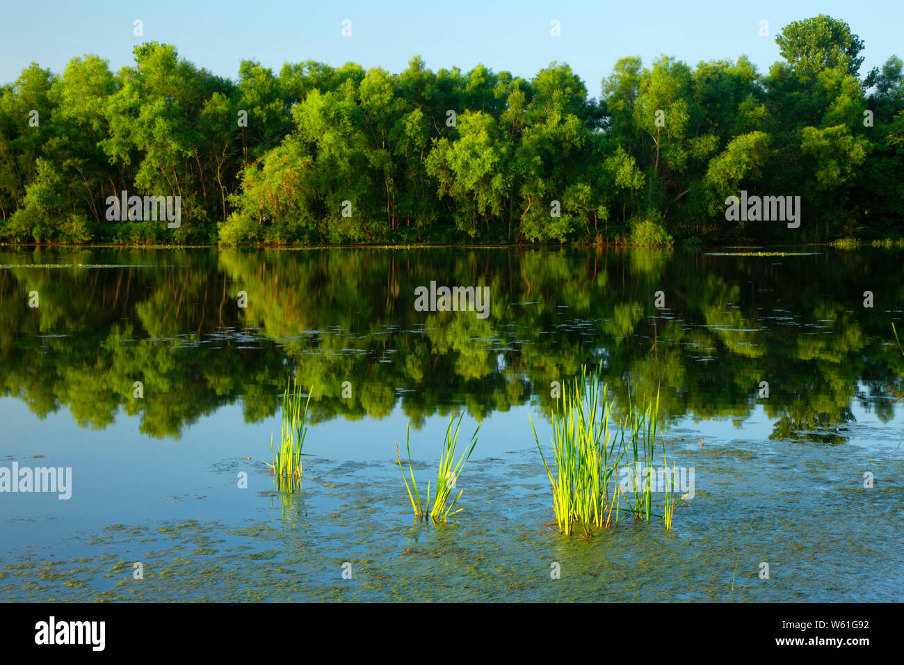 Hanover Pond along Hanover Pond Linear Trail, Dossin Beach Park ...