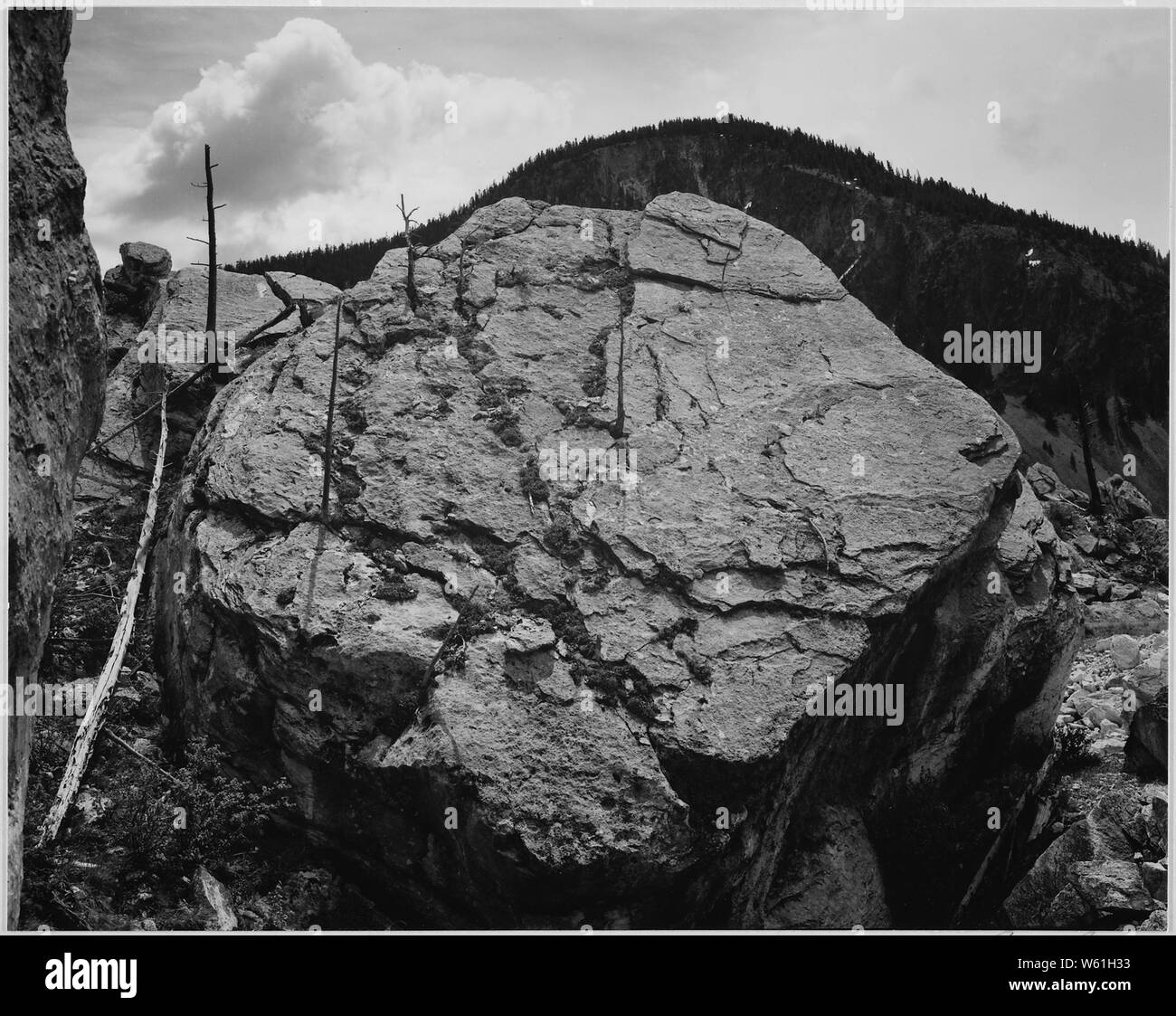 Boulder with hill in background, Rocks at Silver Gate, Yellowstone ...