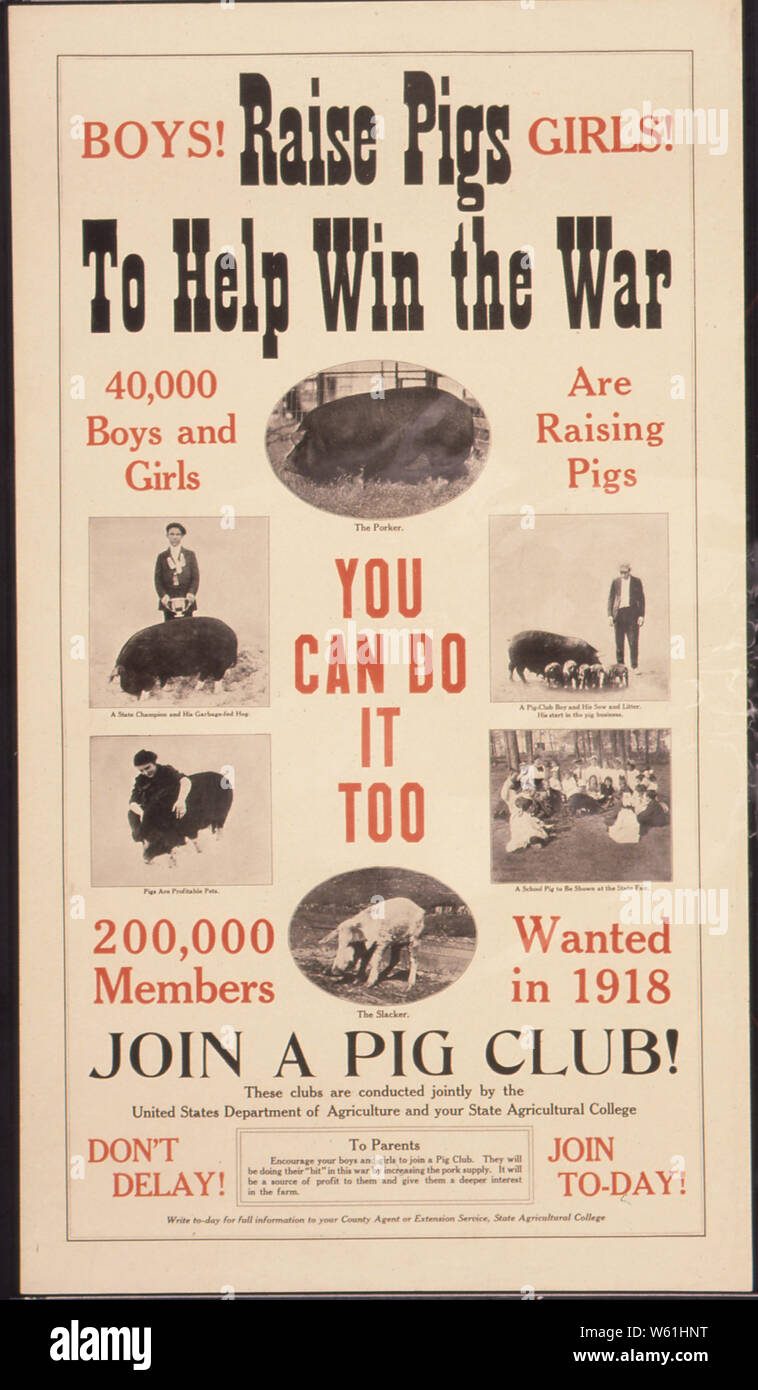 Boys! Raise Pigs To Help Win The War. Girls! 40,000 Boys and Girls are ...