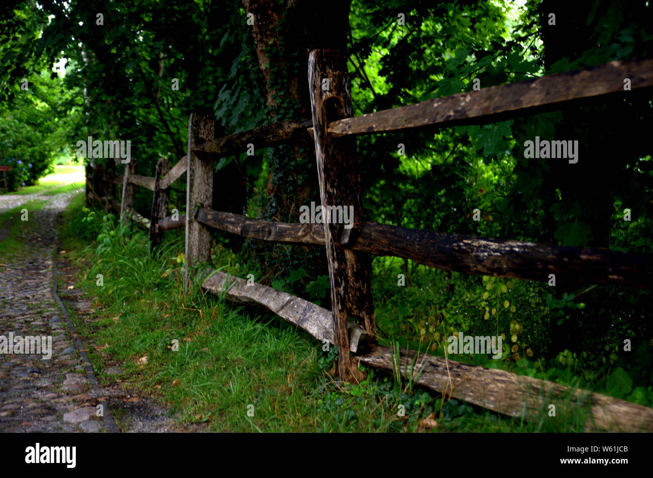 Wooden picket fence hi-res stock photography and images - Alamy