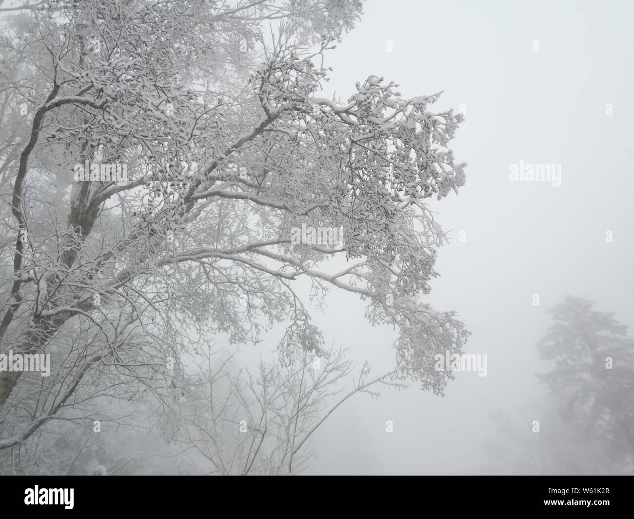 Linjiang hi-res stock photography and images - Alamy