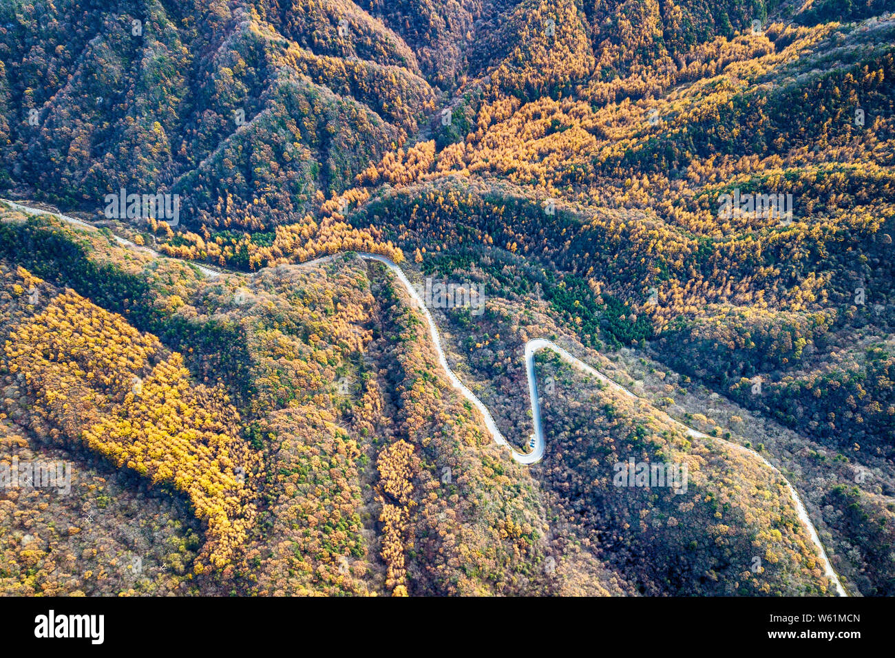 Qinling Shandi Mountains