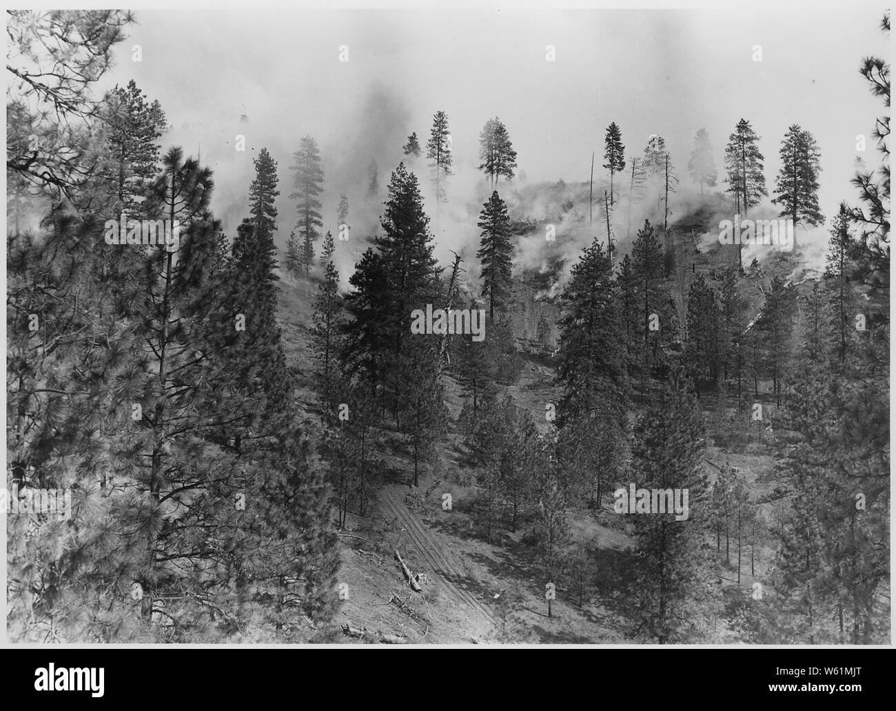 Logging unit hi-res stock photography and images - Alamy