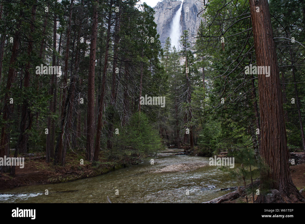 Yosemite flowing forest river hi-res stock photography and images - Alamy