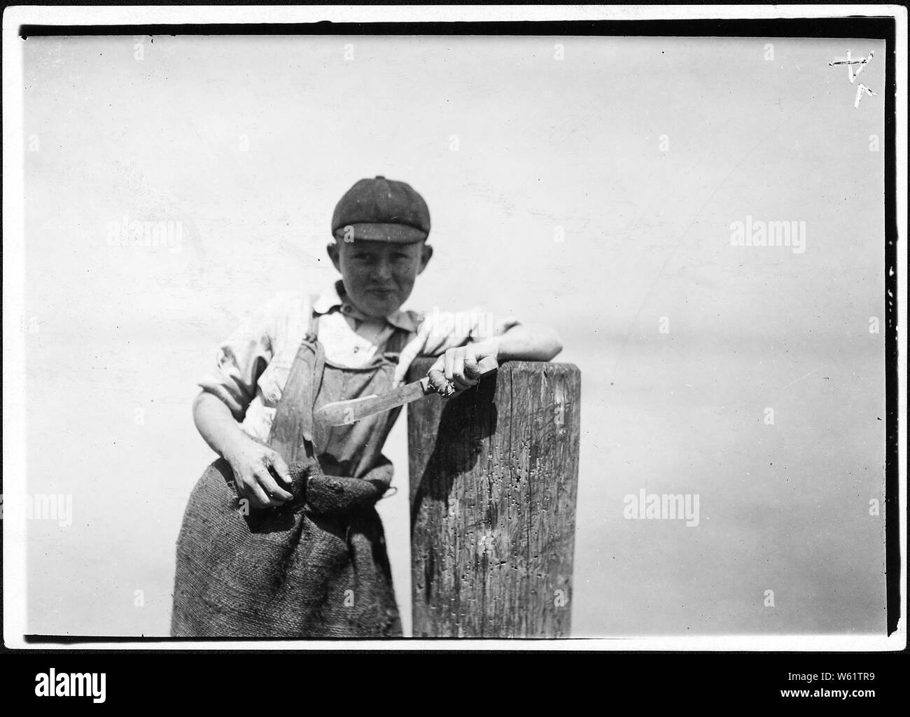 Butcher knife used by Ralph, a young cutter in a canning factory, and a ...