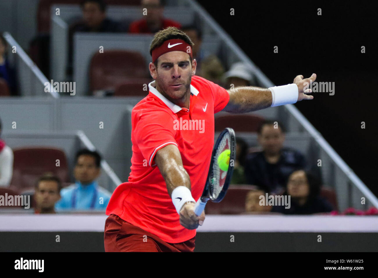 Juan Martin Del Potro of Argentina returns a shot to Nikoloz ...