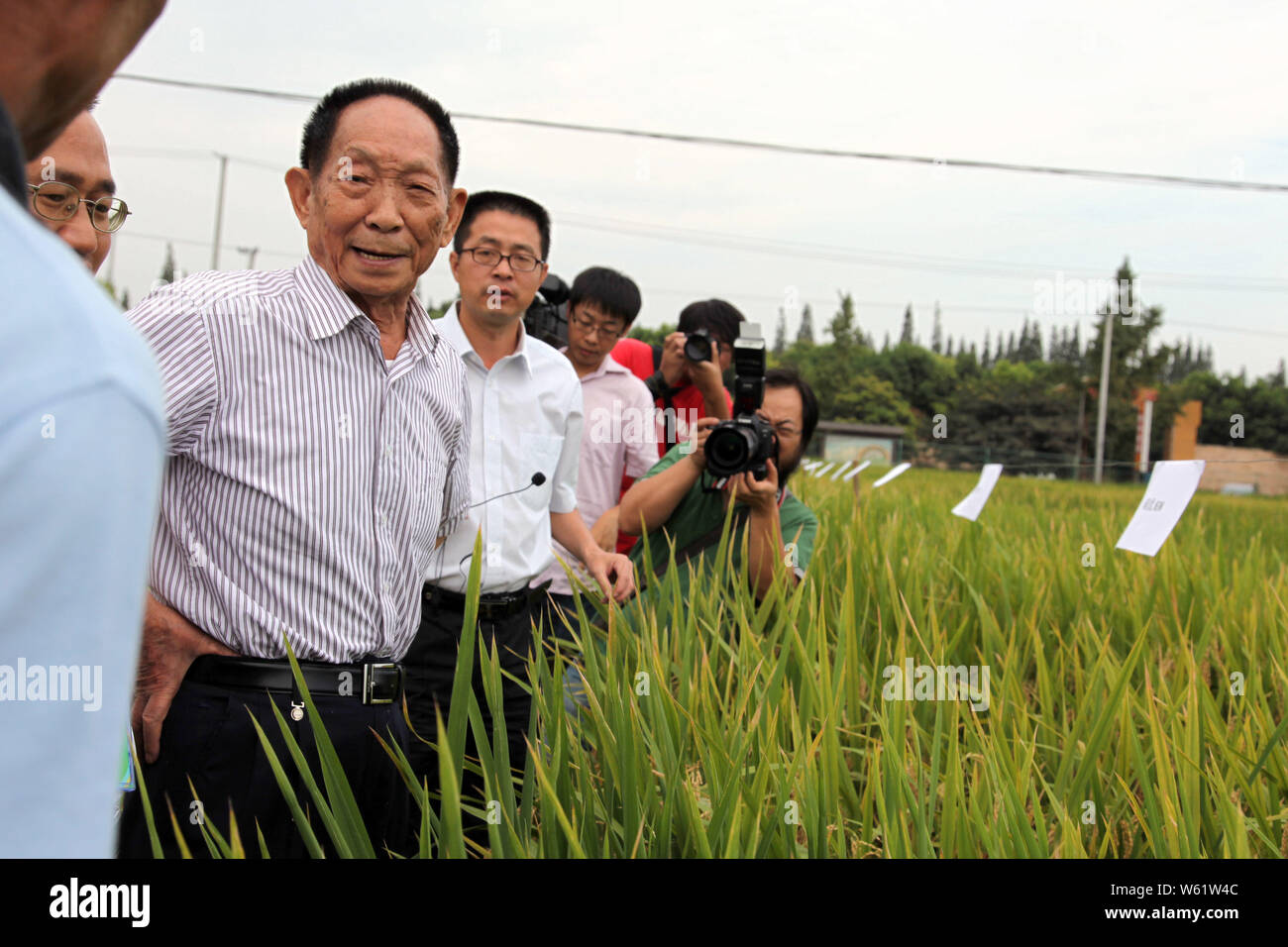 --FILE--Chinese scientist Yuan Longping, known as the father of hybrid ...