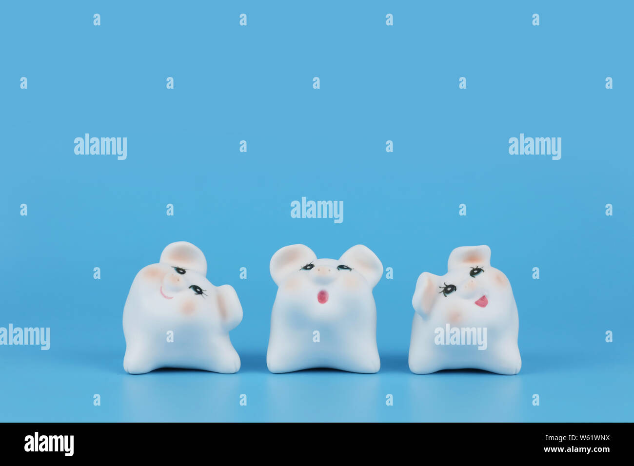 2019 Chinese Zodiac Sign Year of Pig, white cute pigs on blue ...