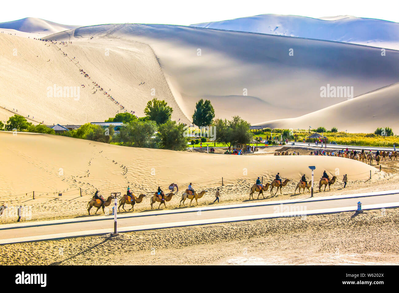 Tourists ride camels in the Gobi desert in the Crescent Moon Lake ...