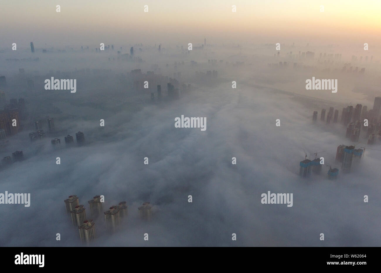 Cityscape of high-rise buildings and skyscrapers shrouded in sea of ...