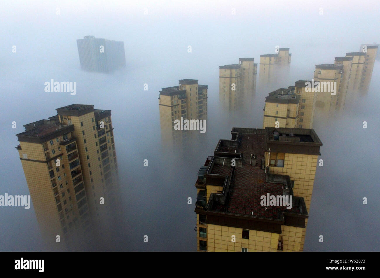 Cityscape of high-rise buildings and skyscrapers shrouded in sea of ...