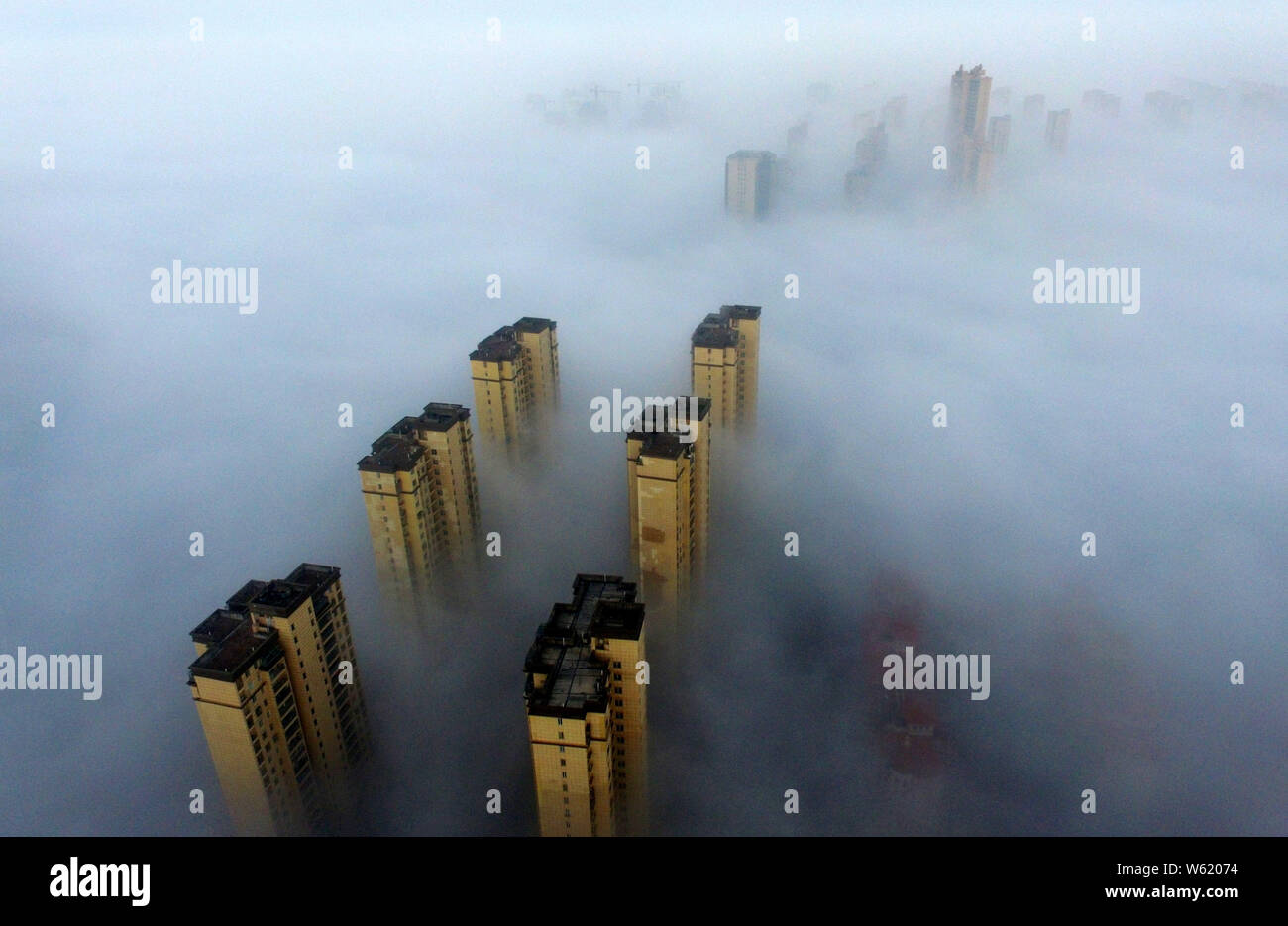 Cityscape of high-rise buildings and skyscrapers shrouded in sea of ...