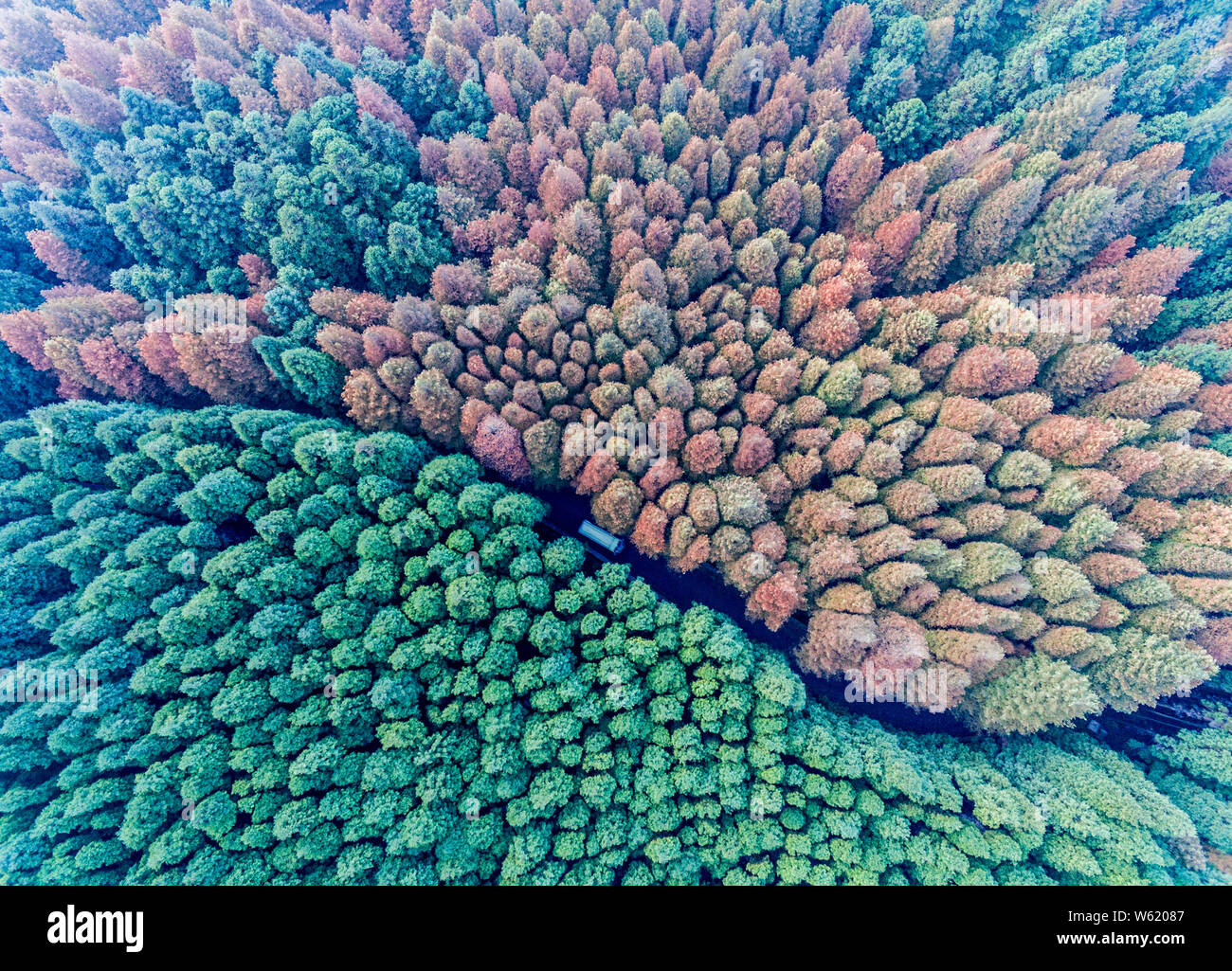 Landscape of the early winter scenery in the Shanwangping Karst ...