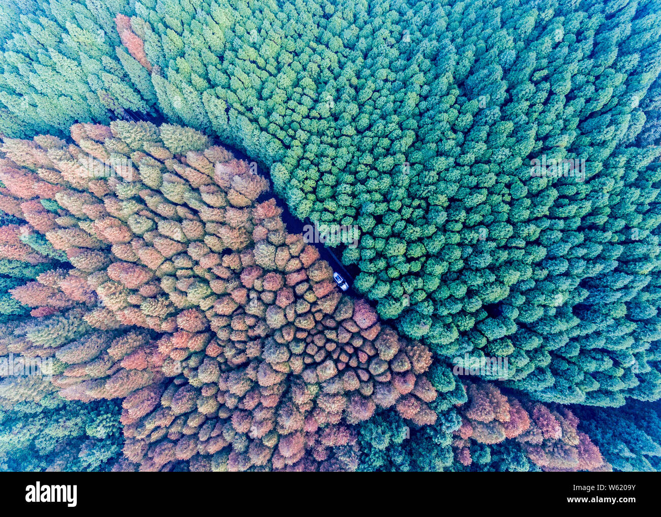 Landscape of the early winter scenery in the Shanwangping Karst ...