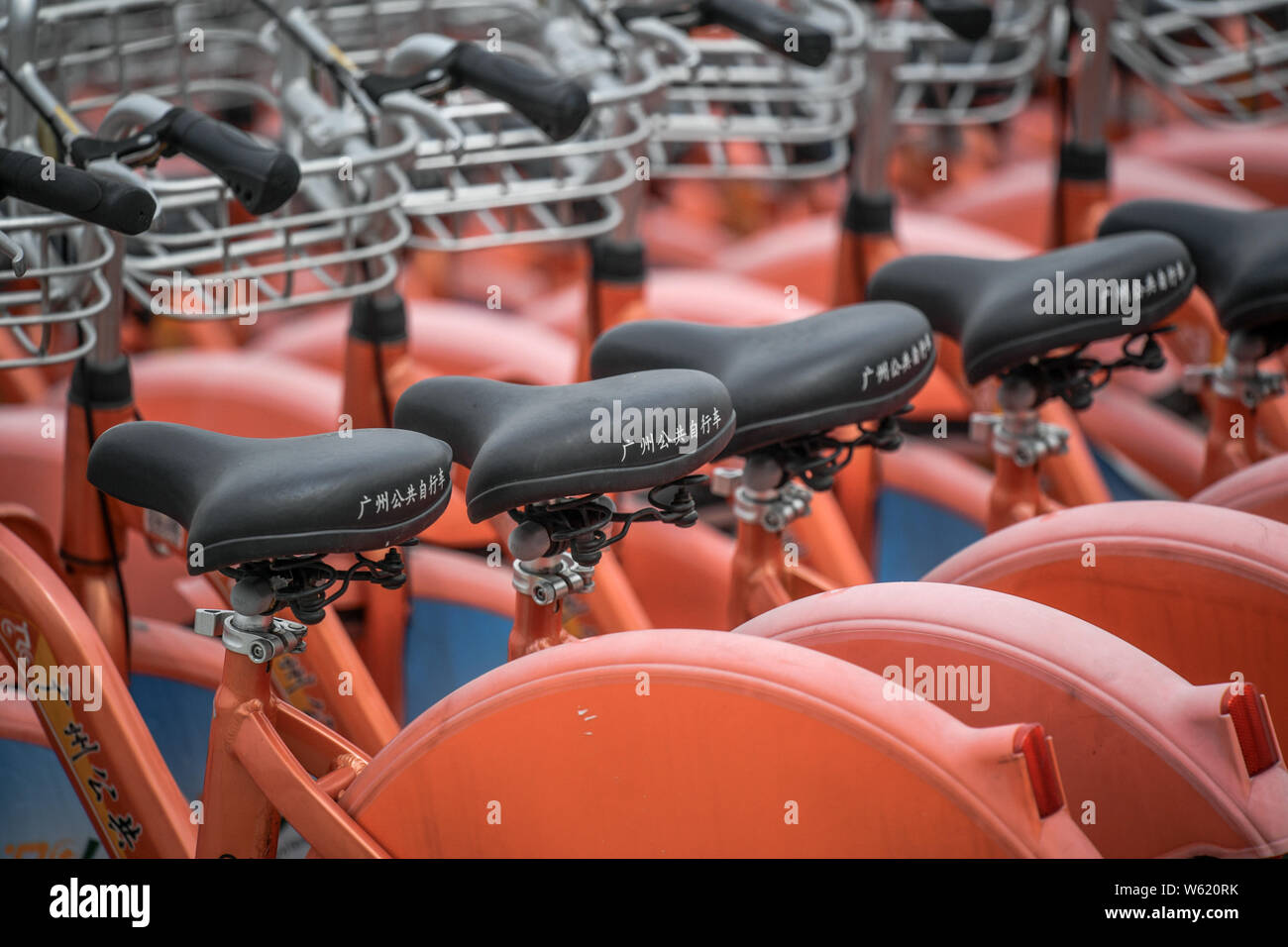 Bikes of public bicycle rental service are lined up at an open space in ...