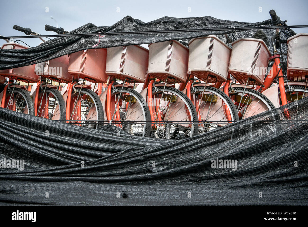 Bikes of public bicycle rental service are lined up at an open space in ...
