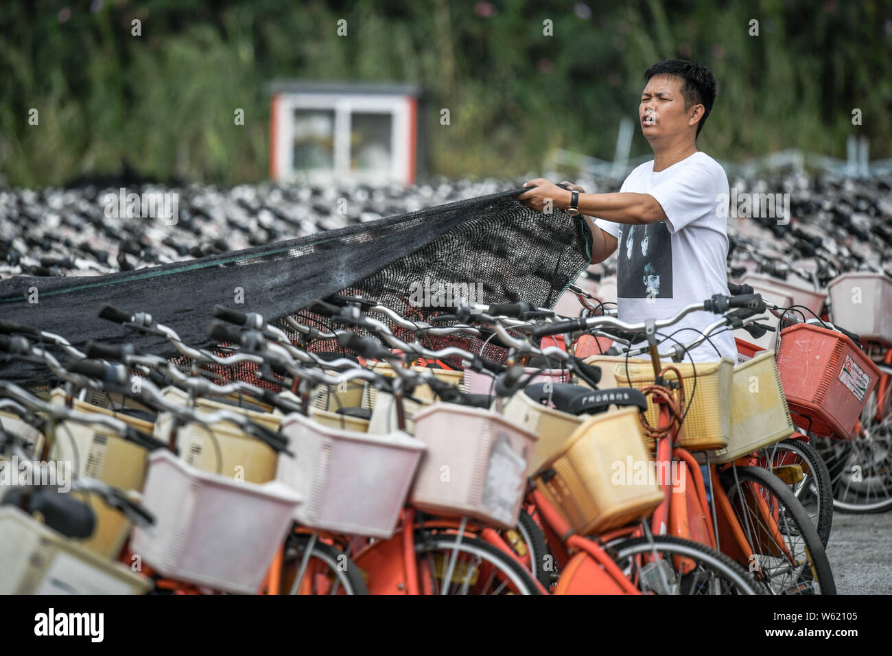 Bikes of public bicycle rental service are lined up at an open space in ...