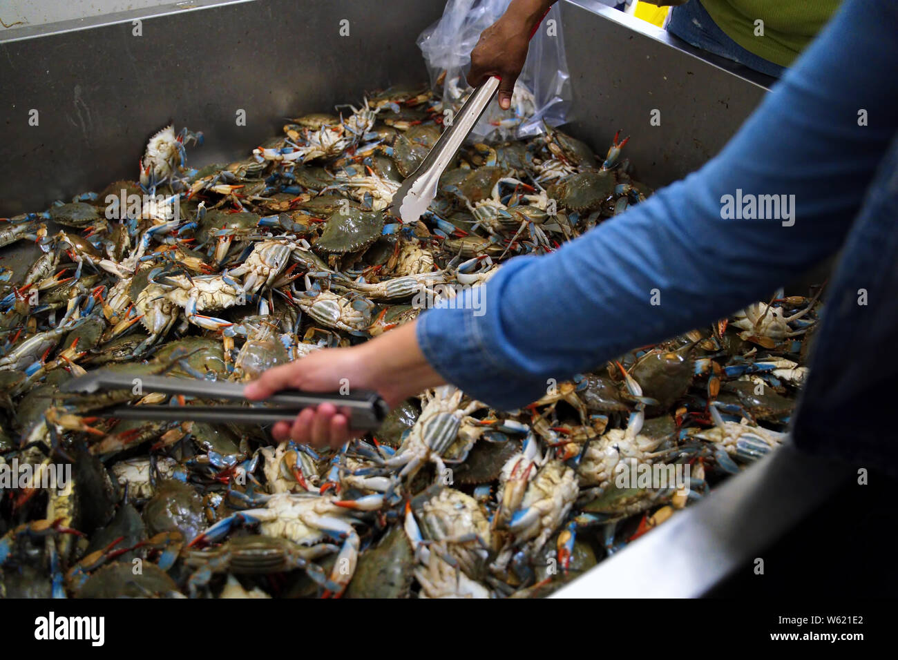 Arms holding seafood hi-res stock photography and images - Alamy