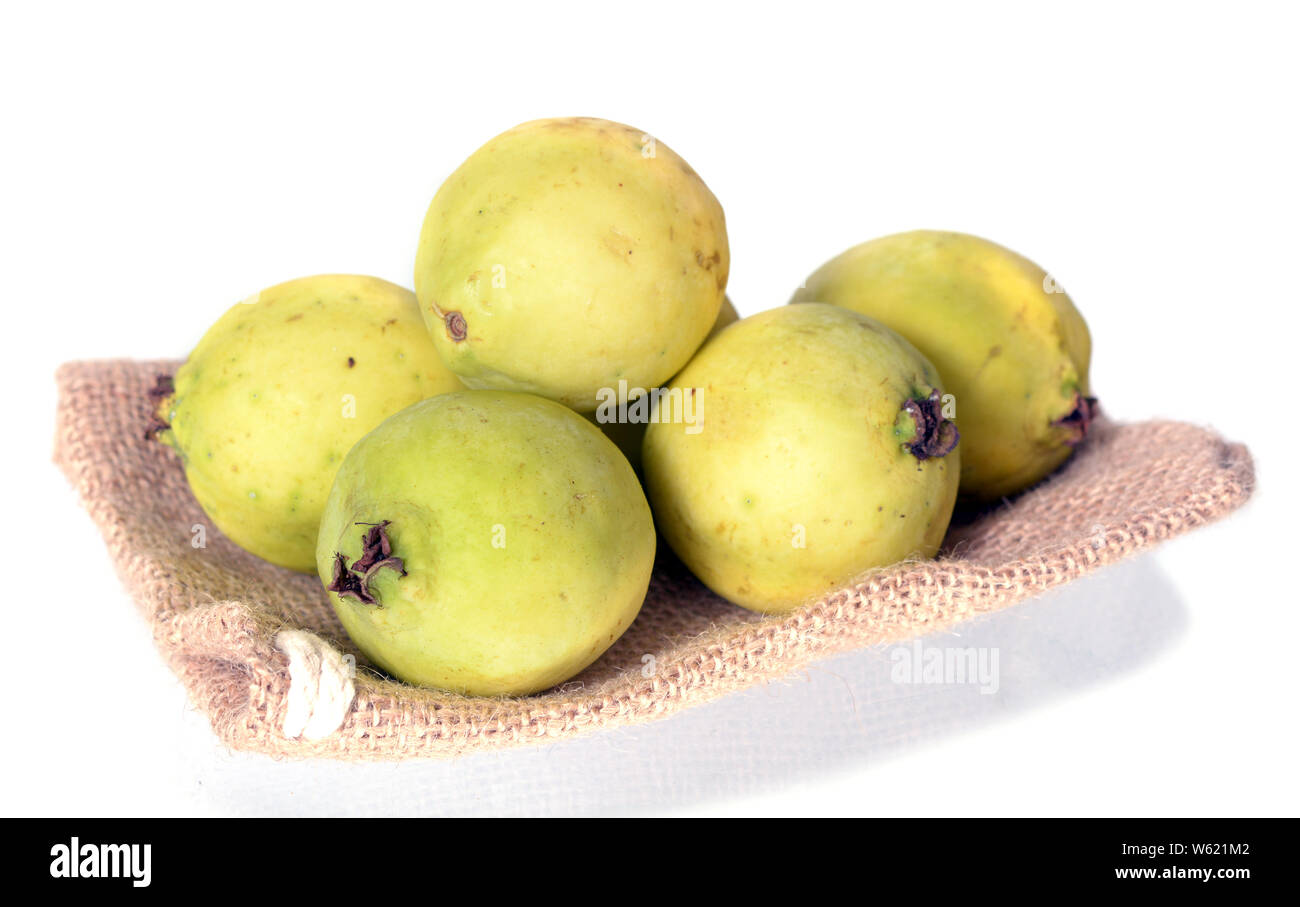 Som bag hi-res stock photography and images - Alamy