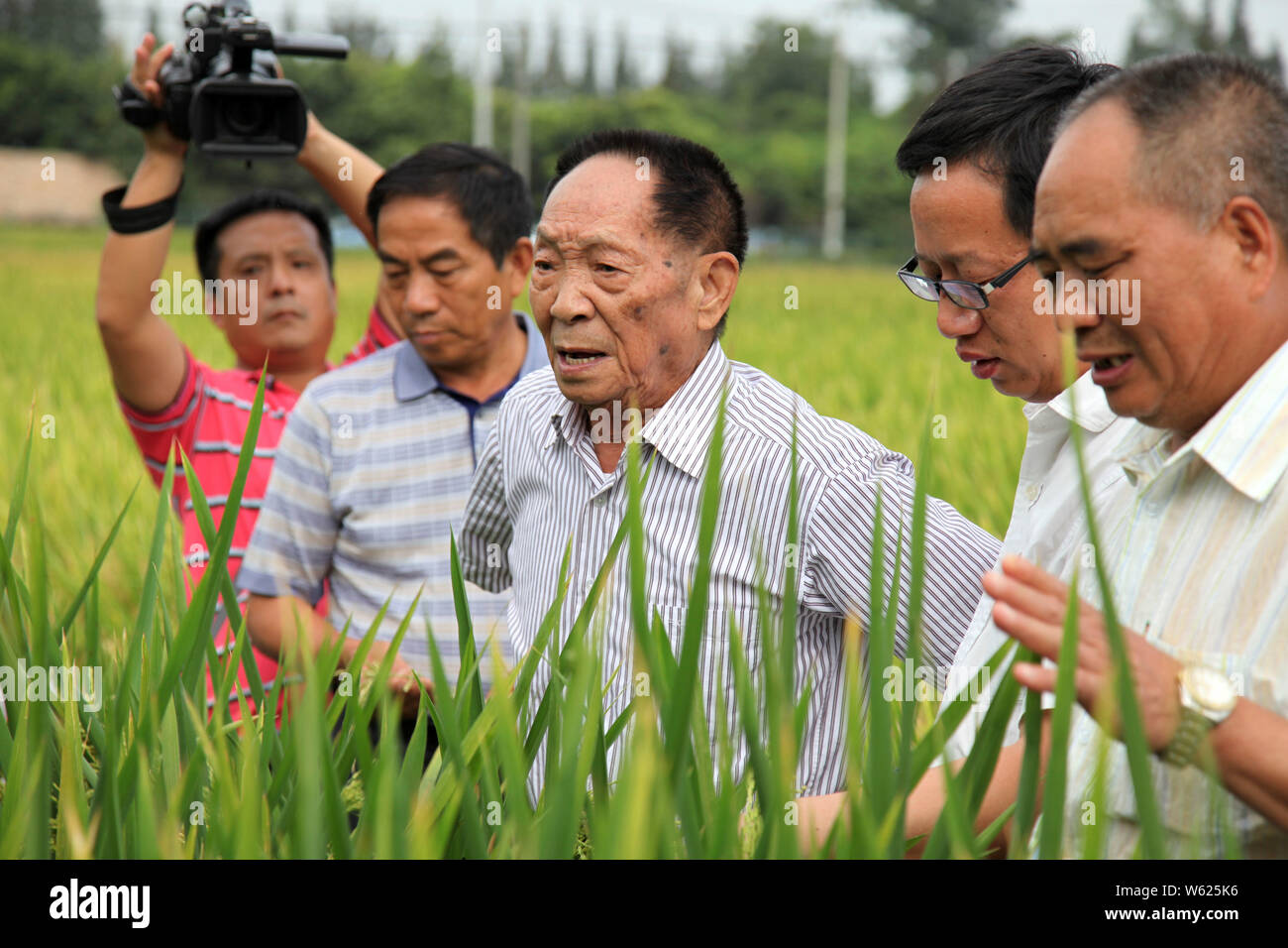 --FILE--Chinese scientist Yuan Longping, known as the father of hybrid ...
