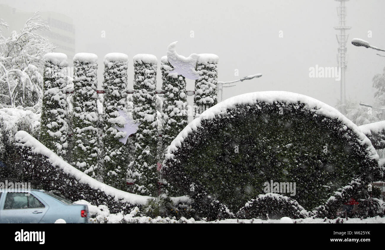 Snow covers trees and grass in Urumqi city, northwest China's Xinjiang ...