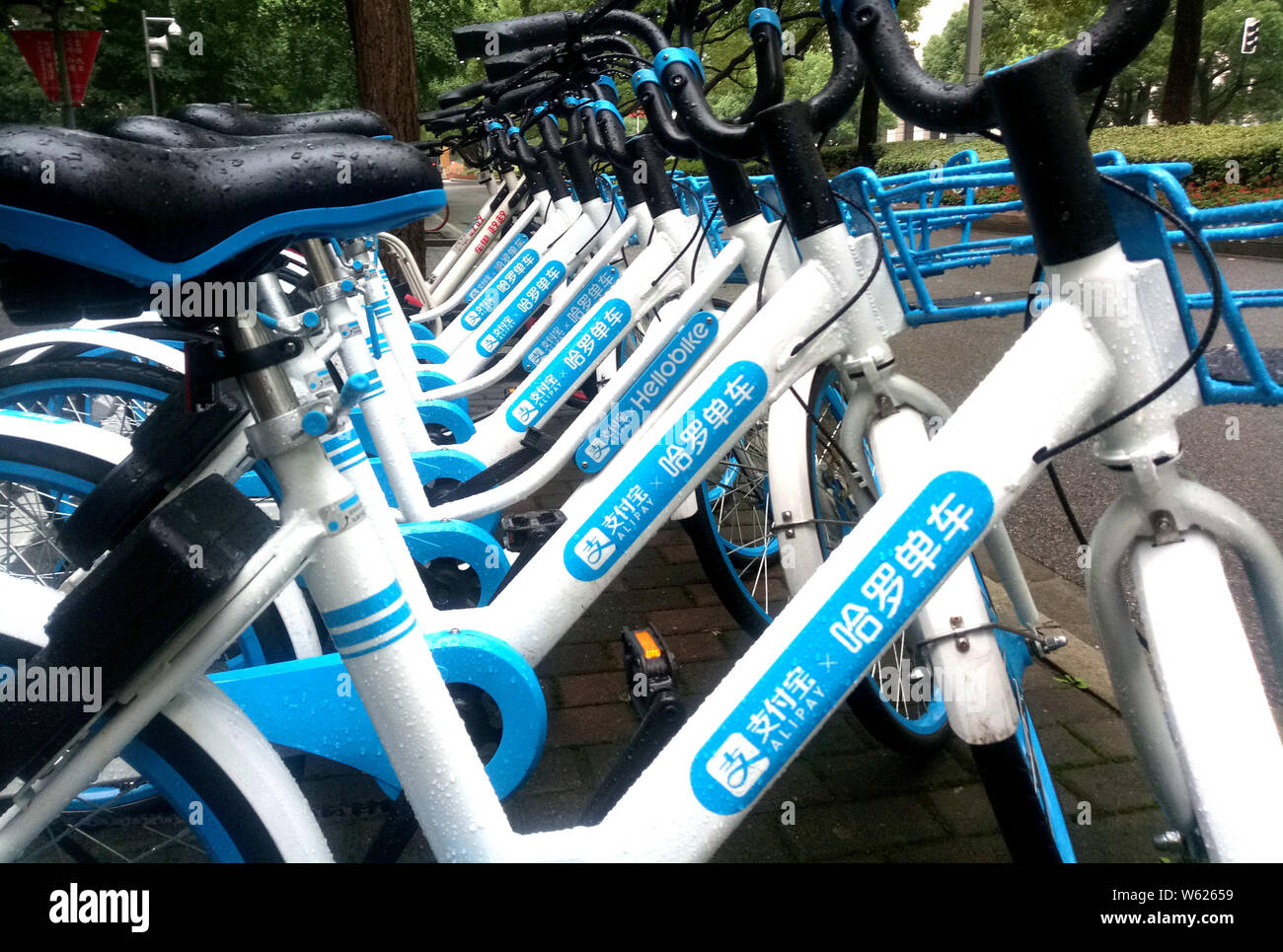 --FILE--Bicycles of Chinese bike-sharing service Hellobike are lined up ...