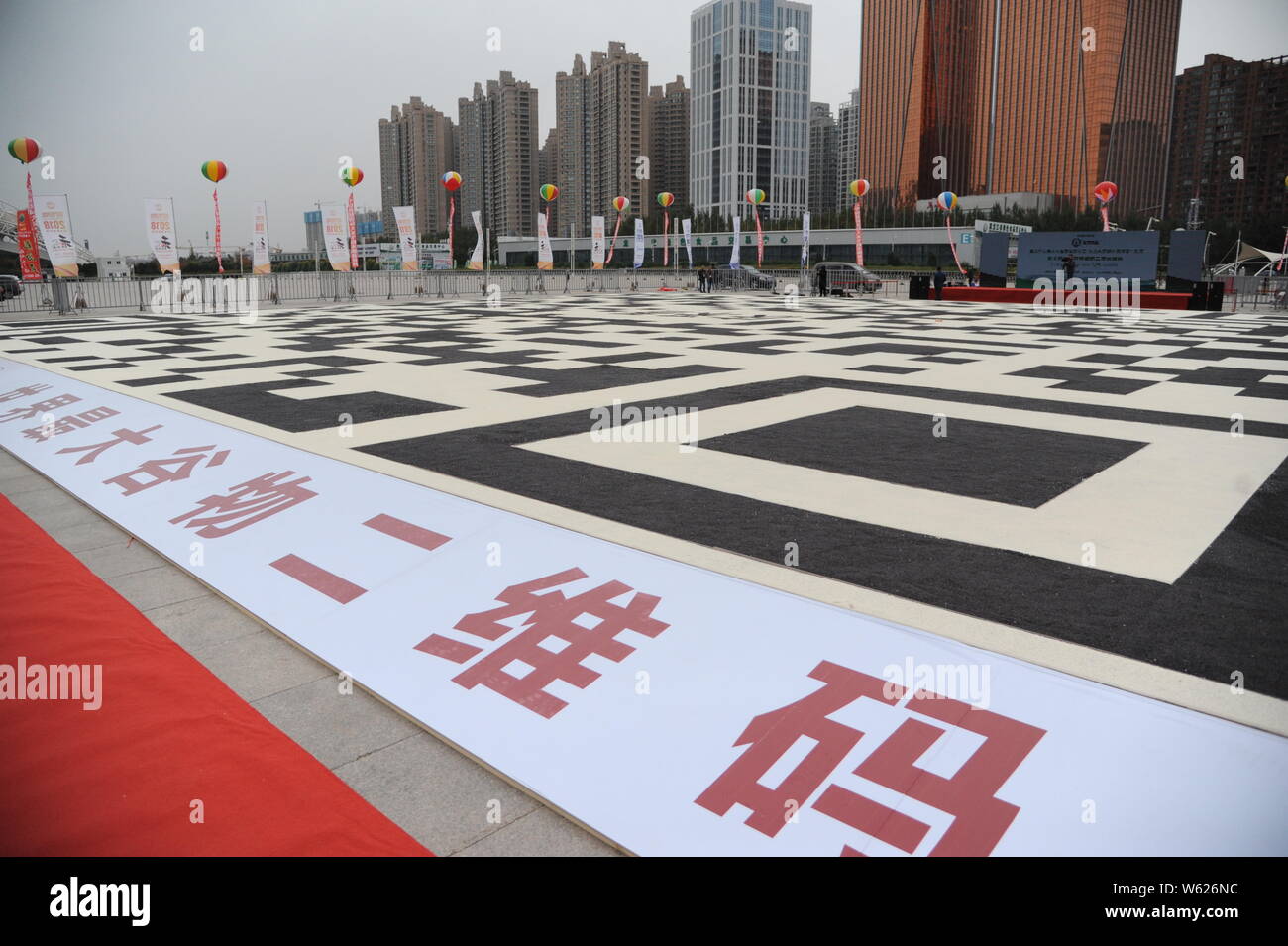 The Worlds Largest Qr Code 30 Meters On Each Side Made Of Five Tons Of Black Rice And Five