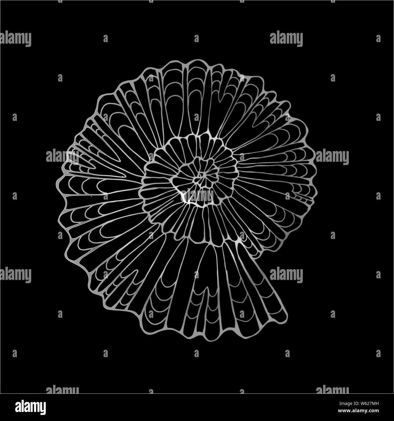 Black white illustration of a petrified snail shell Stock Vector Image ...