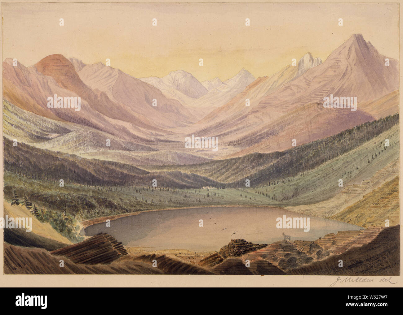 Camp Akamina (49th parallel) looking N. 50. E. across Akamina Lake down ...
