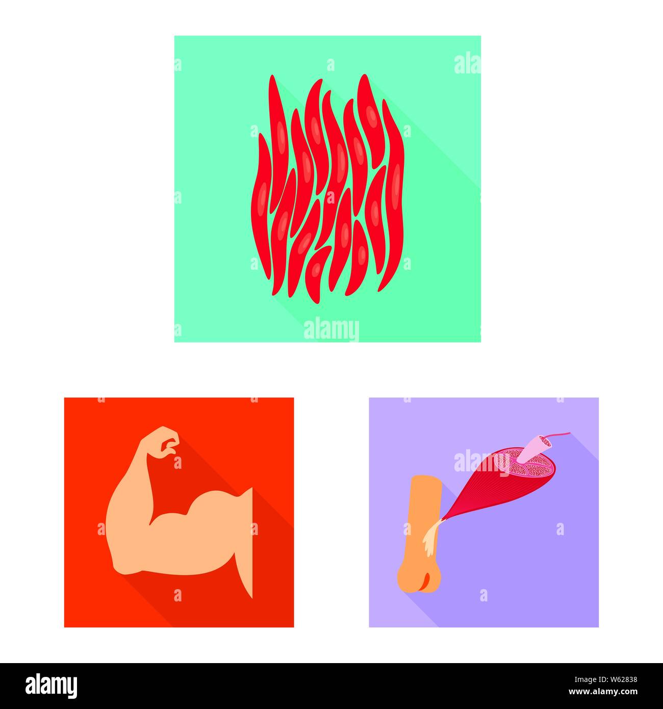Isolated object of muscle and cells icon. Set of muscle and anatomy ...