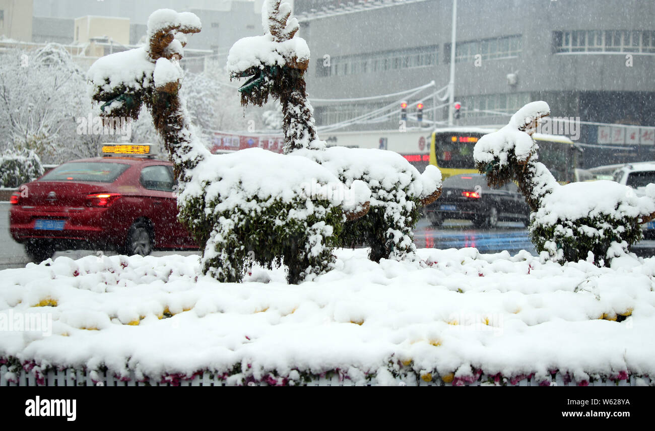 Snow covers trees and grass in Urumqi city, northwest China's Xinjiang ...