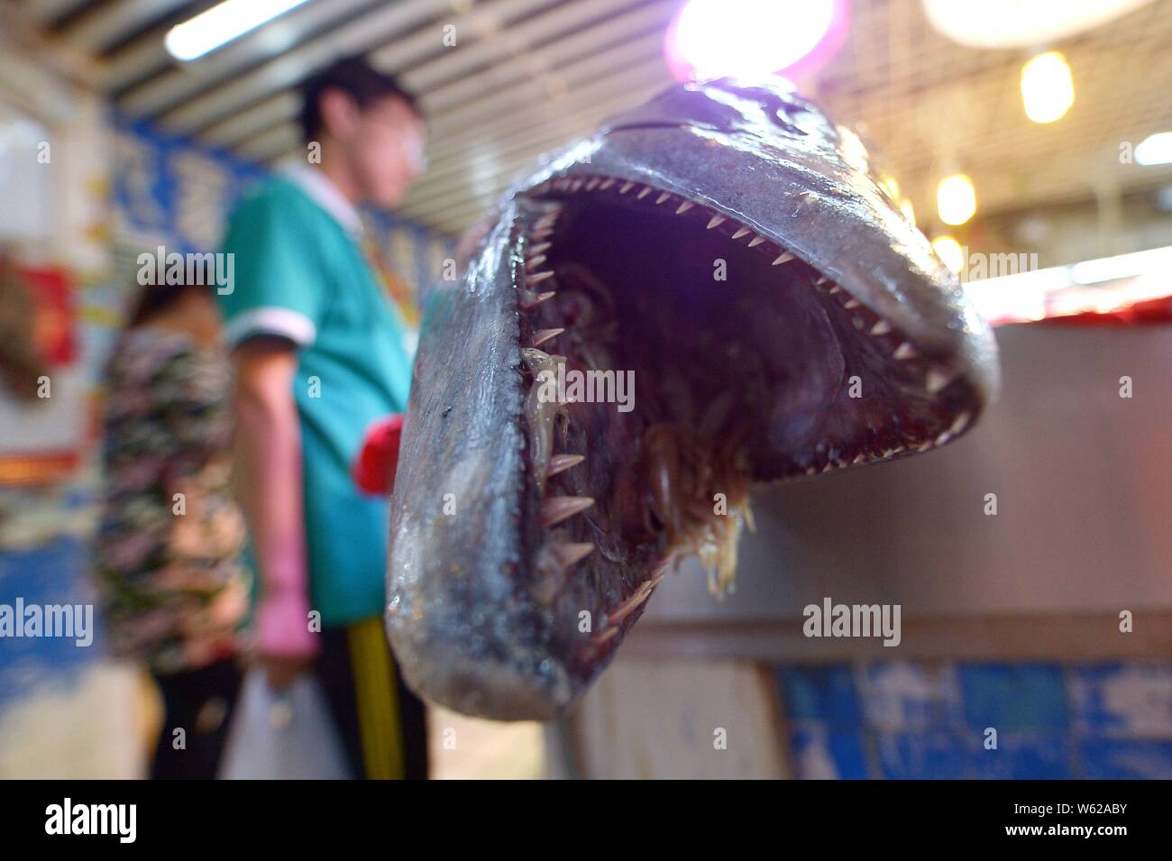 A giant Chinese seerfish is for sale at a seafood market in Qingdao ...