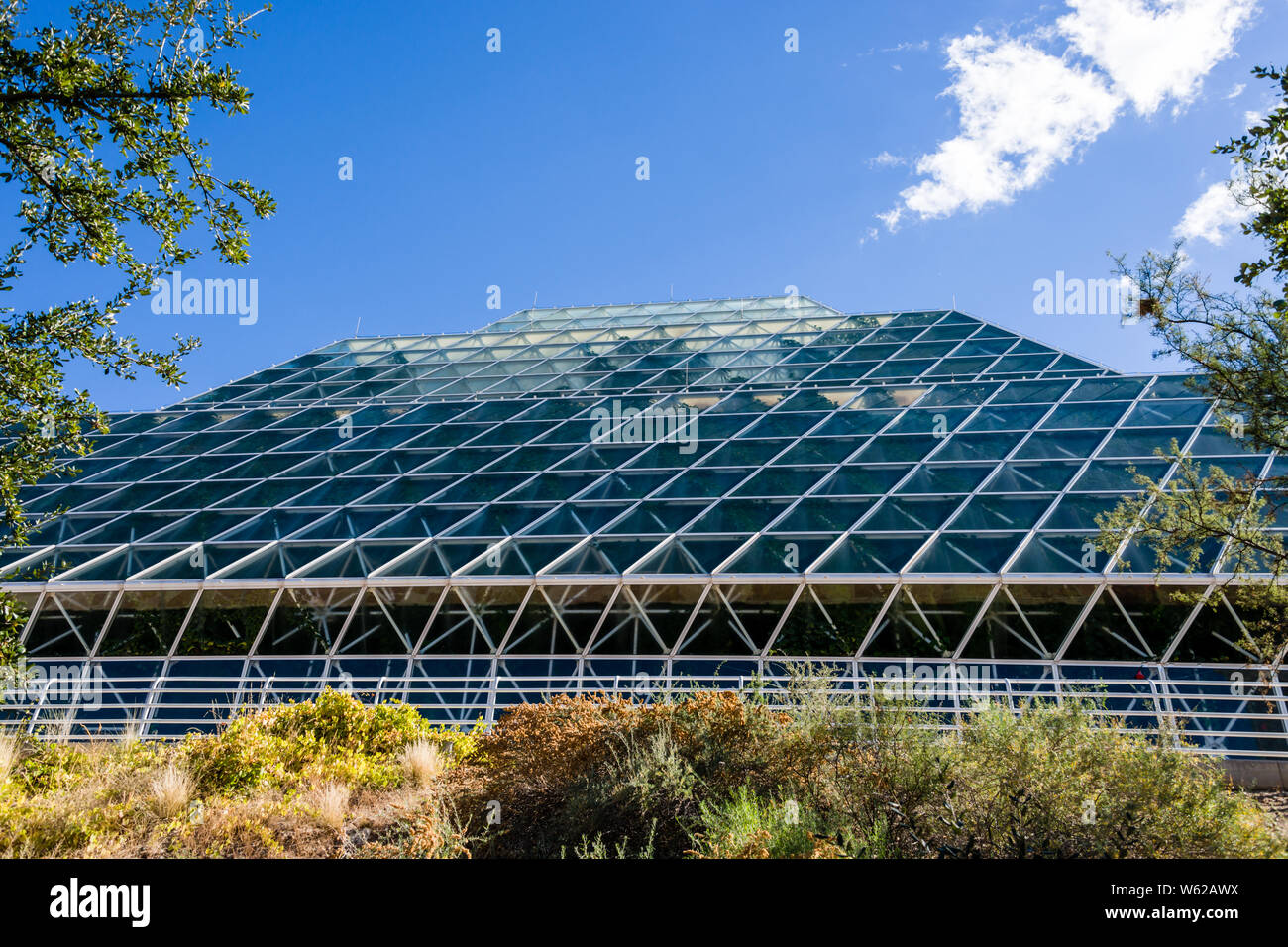 Biosphere 2 Tropical Rainforest Stock Photo - Alamy