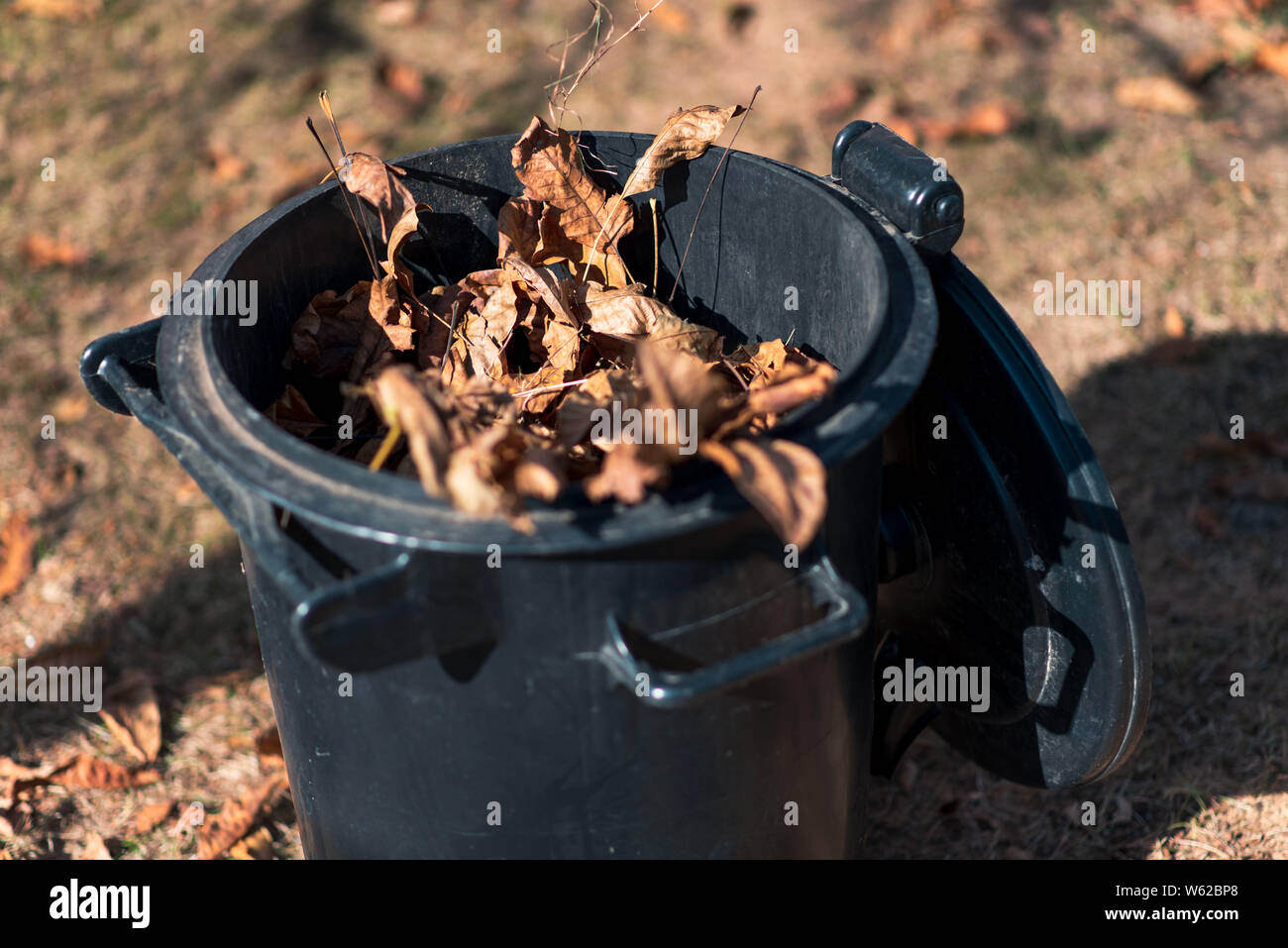 Pile of fallen autumn leaves in the bucket closeup Stock Photo - Alamy