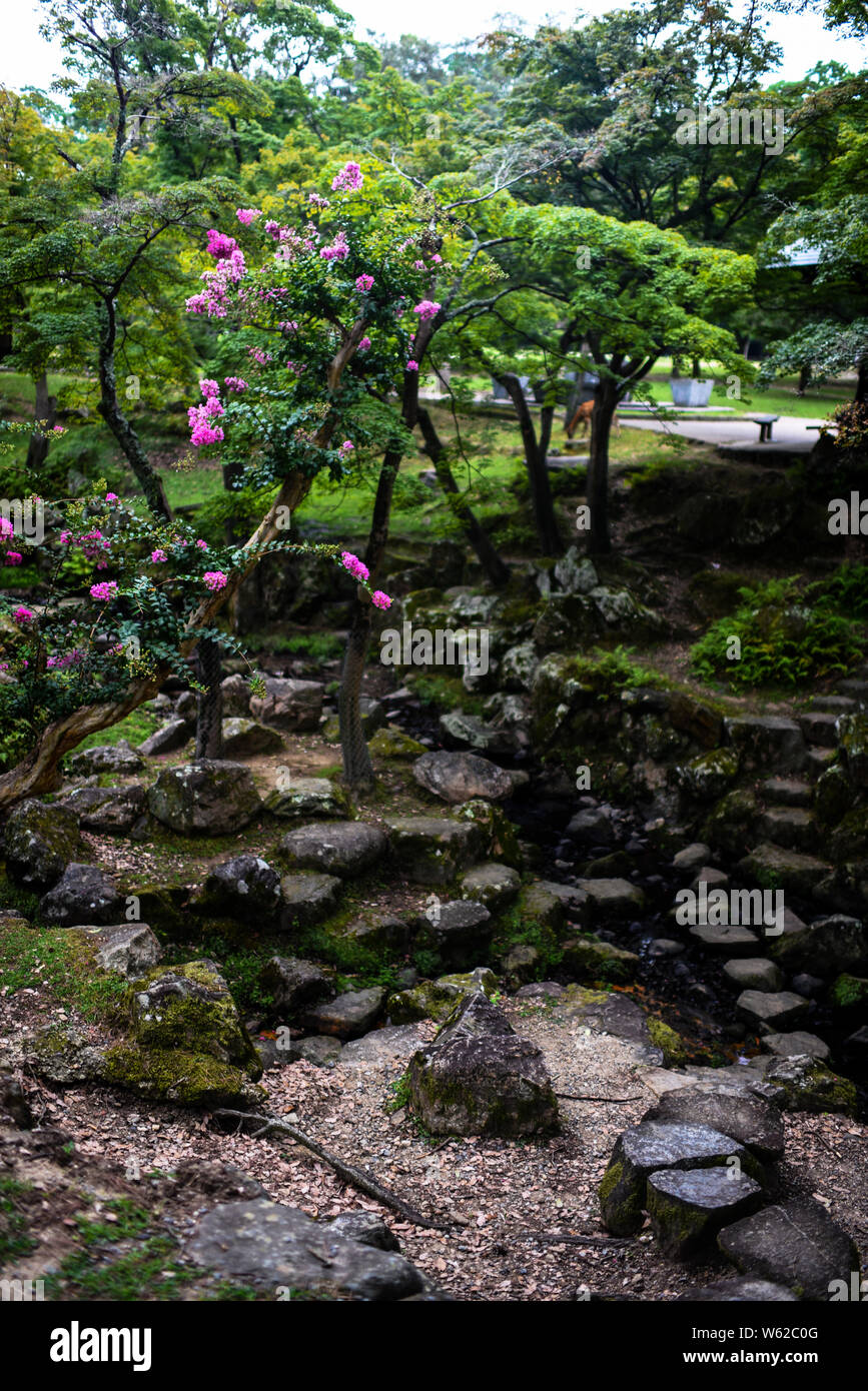 Nara Park, Nara, Japan Stock Photo - Alamy