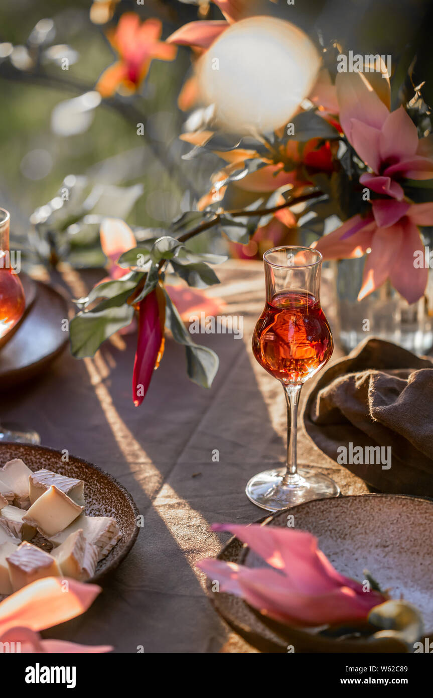 Beautiful table setting in garden on sunset light. Table decorated with ...