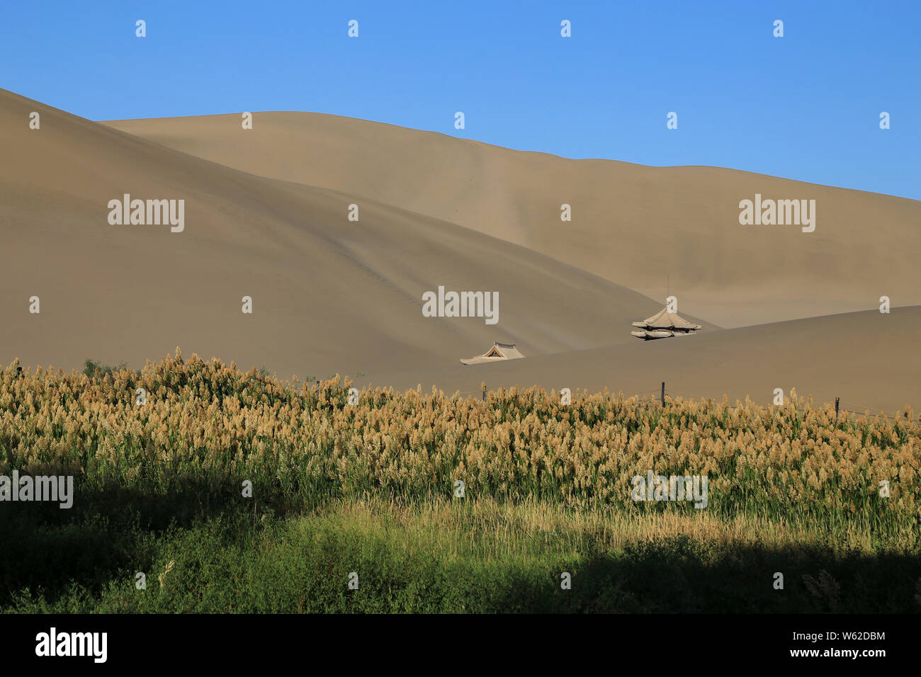 View of the Crescent Moon Lake, also known as Yueya Spring, surrounded ...