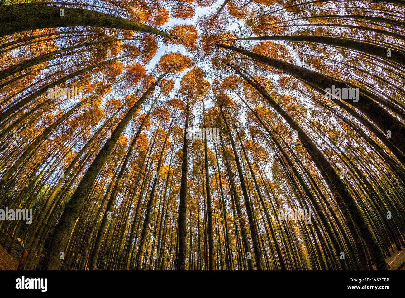 Landscape of the early winter scenery in the Shanwangping Karst ...