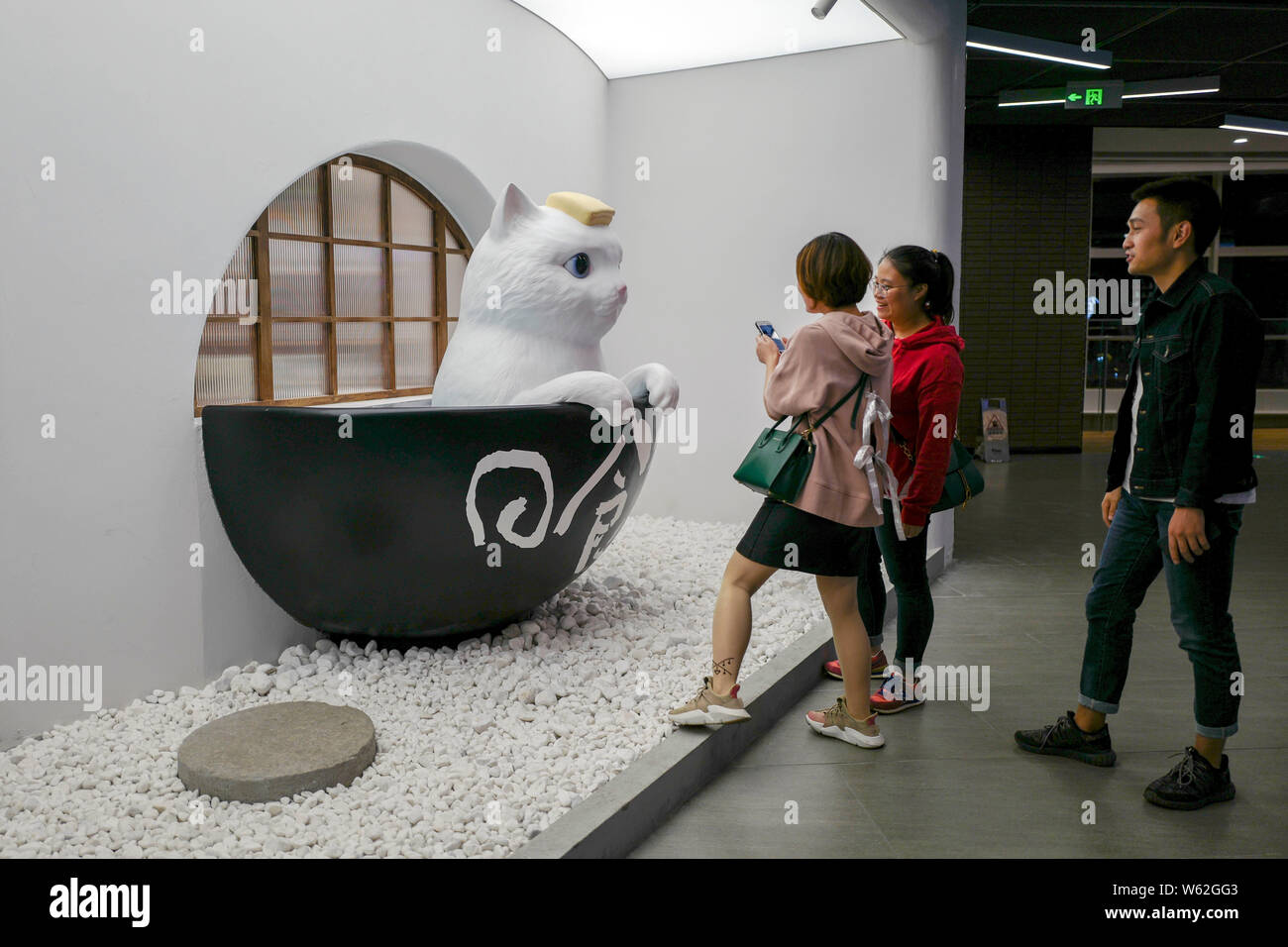 Interior view of the China's first off-line "Cat's Kitchen"-themed ...
