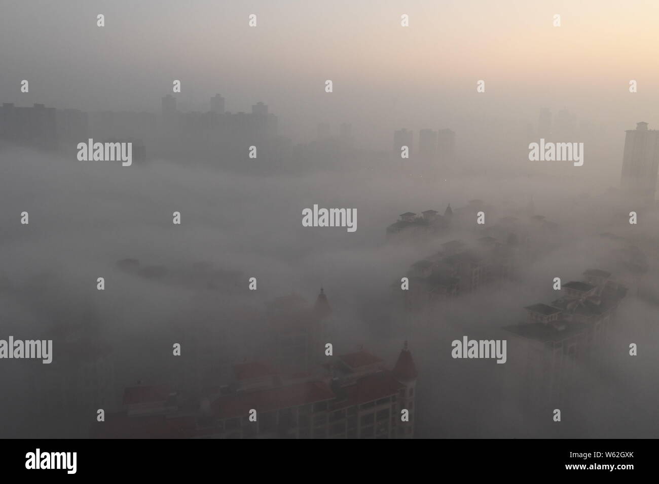 Cityscape of high-rise buildings and skyscrapers shrouded in sea of ...