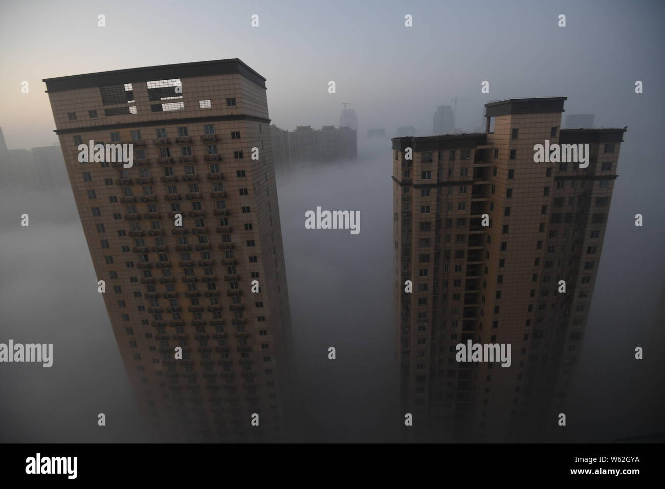 Cityscape of high-rise buildings and skyscrapers shrouded in sea of ...