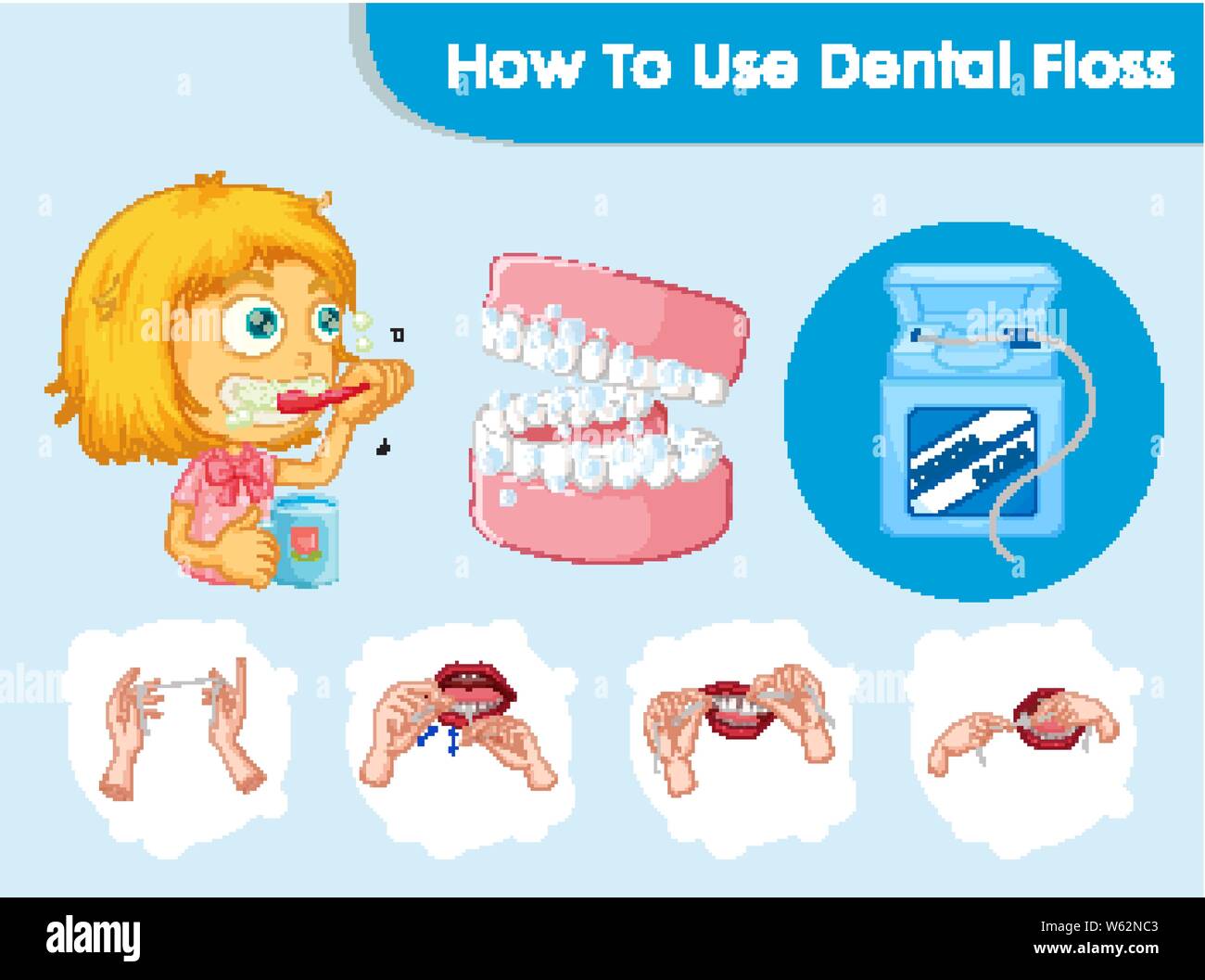 Scientific medical illustration of dental floss procedure illustration ...