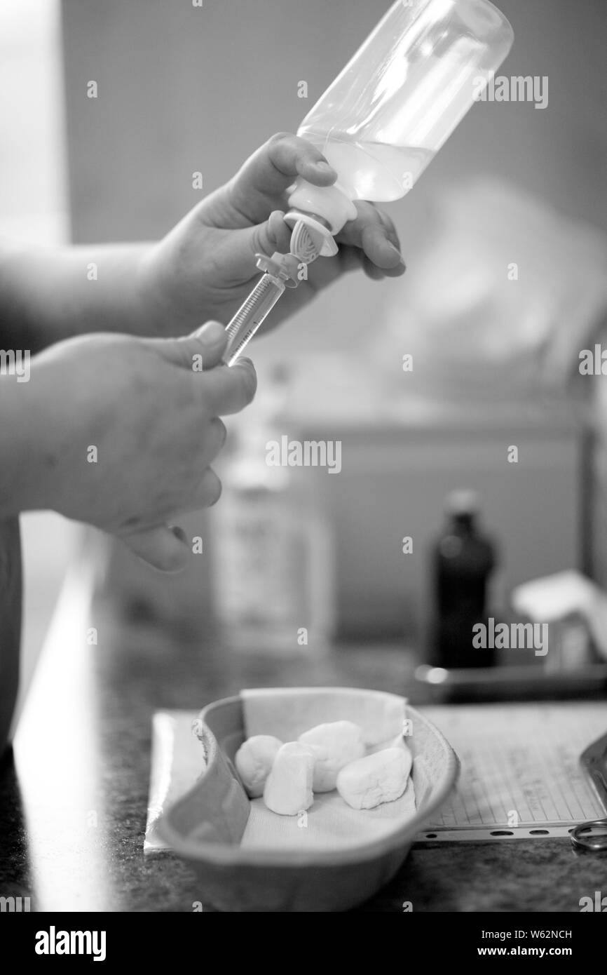 The nurse fills the syringe with a medicine for therapeutic ...