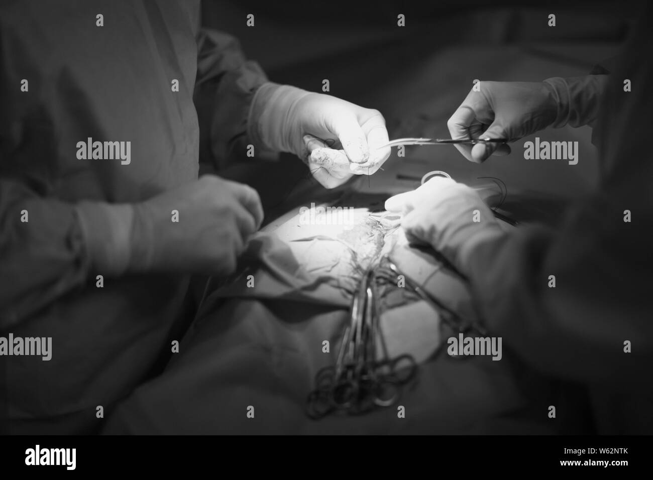 The doctor at work. During a surgical operation Stock Photo - Alamy