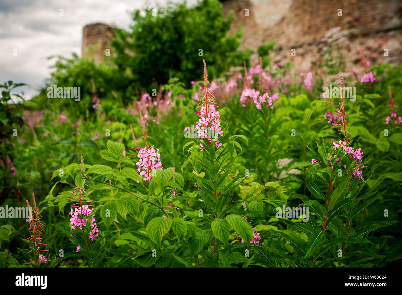 Beautiful park design Stock Photo - Alamy