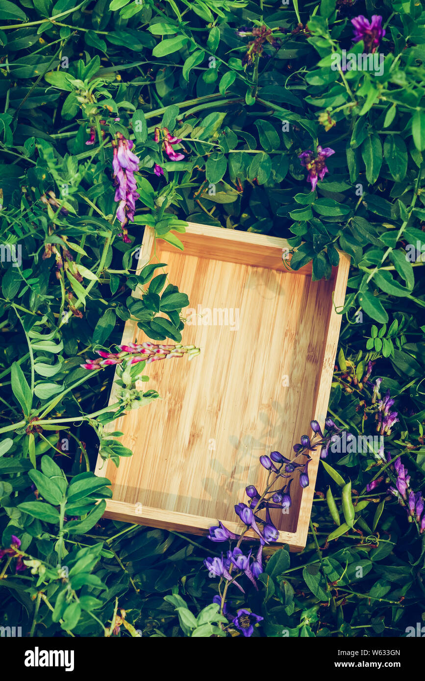 Plants background, Frame from wood box Concept Eco-friendly materials ...