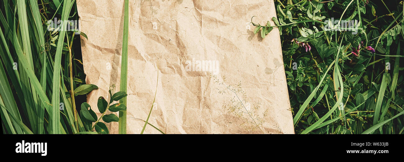 Creative natural background of plants and craft paper. Eco-friendly ...