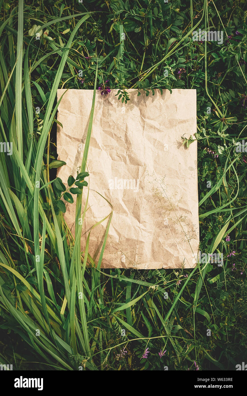 Creative natural background of plants and craft paper. Eco-friendly ...